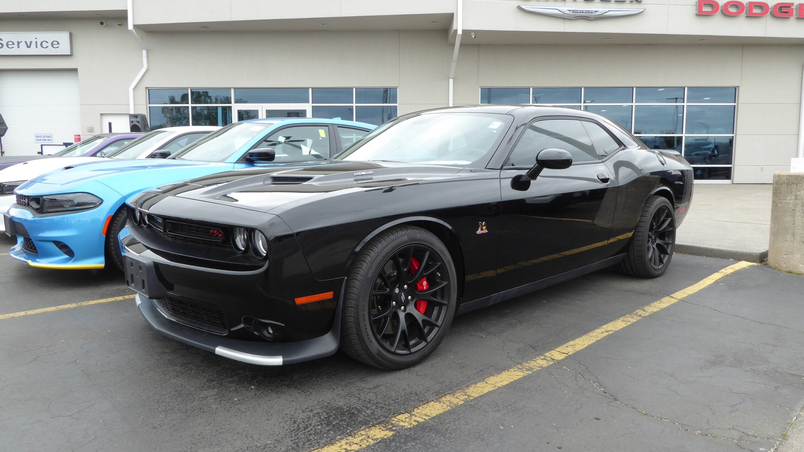 The_Keeper's Babe of the Day! - Page 3 of 566 - Cool cars, sick jokes ...